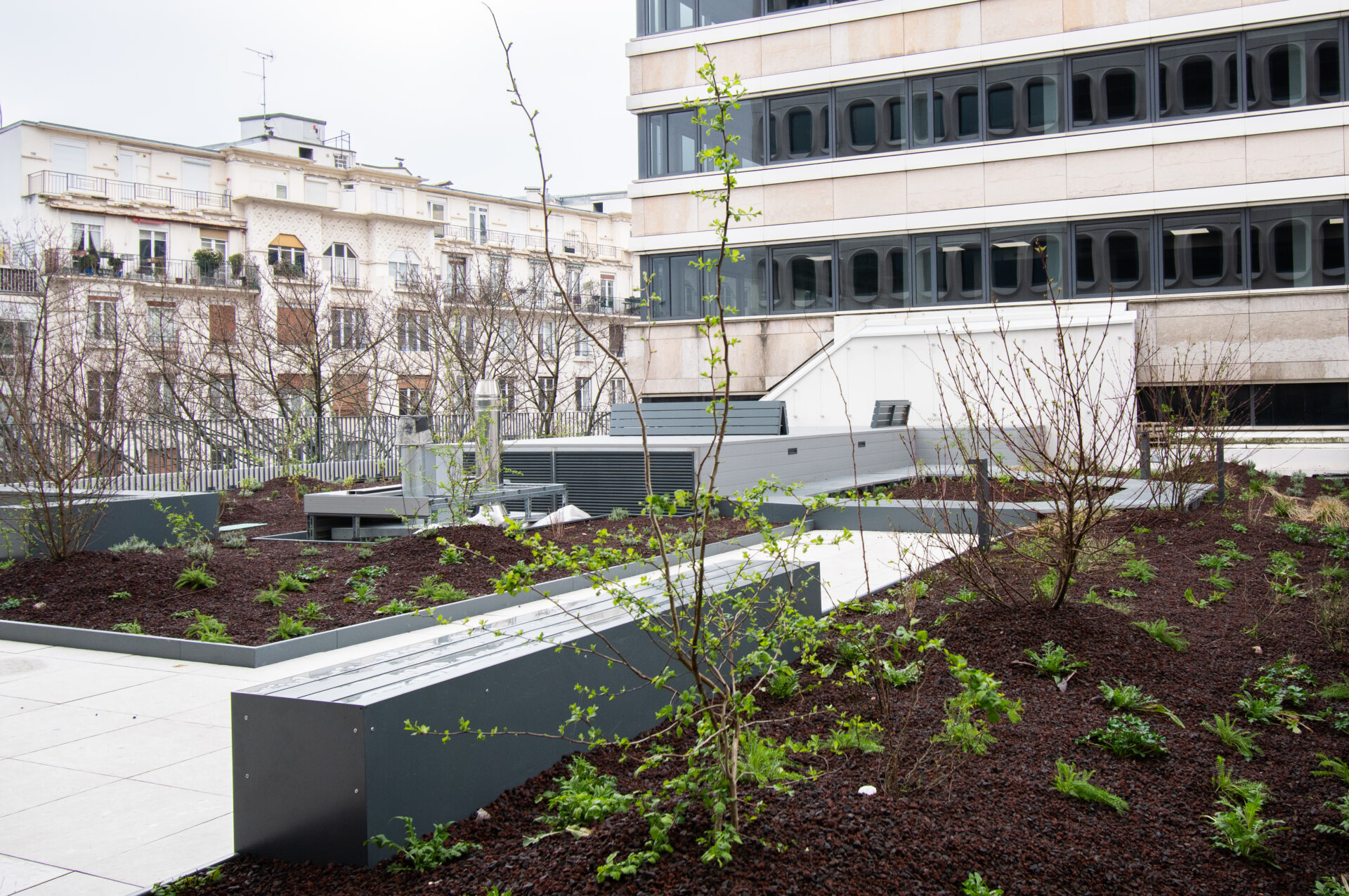 PongParis (15) - Sports et Paysages